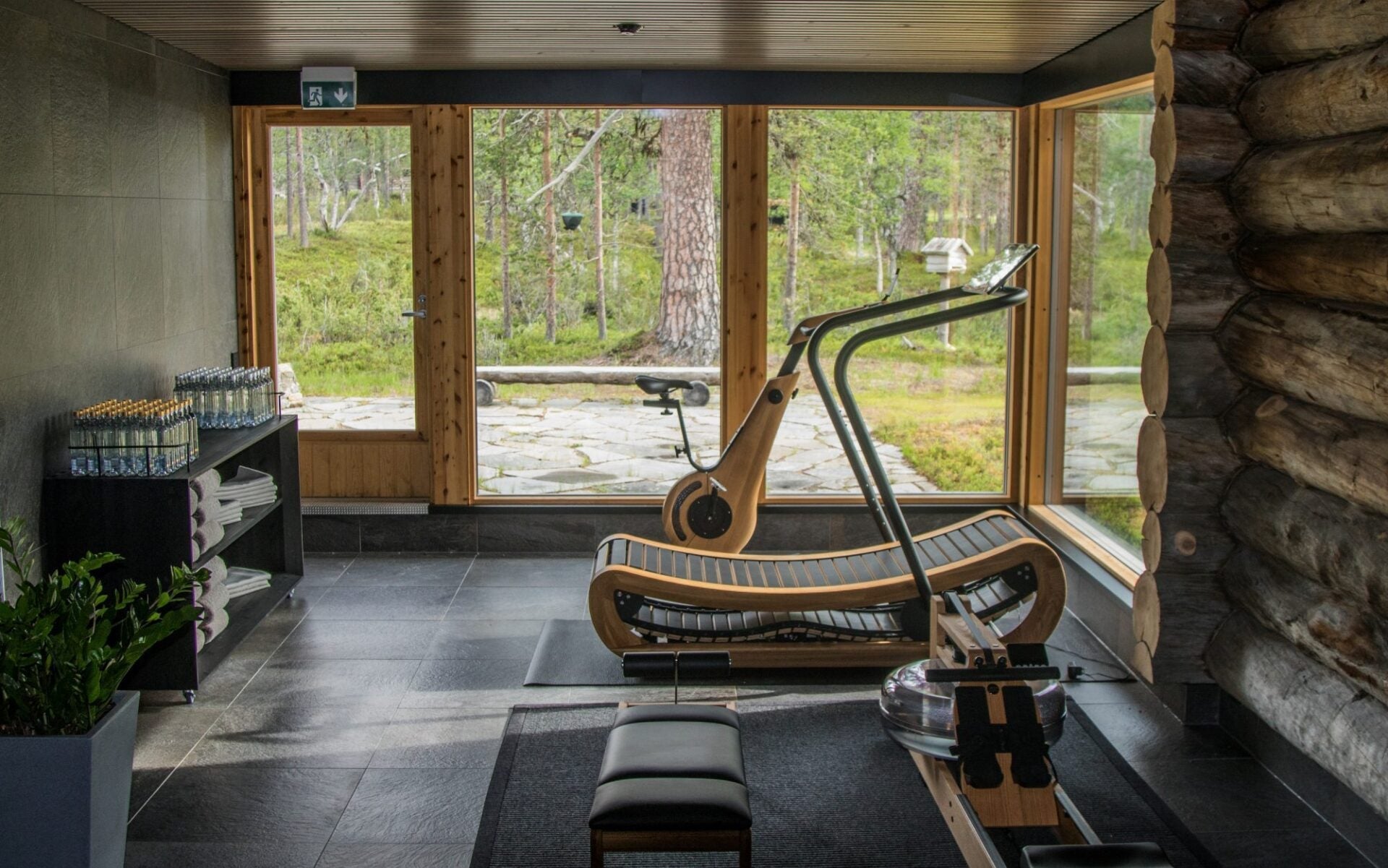 Eco-Fitness: How Sustainable Gyms Are Reshaping Health Culture – freebeat